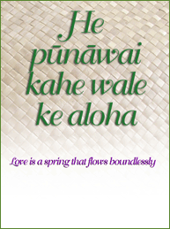 Spirit of Aloha Hawaii Weddings